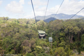 A Journey Above The Trees With Kuranda Skyrail Rainforest Cableway ...