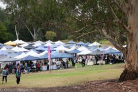 Tips for visiting the Heide Museum of Modern Art Melbourne - Adventure ...