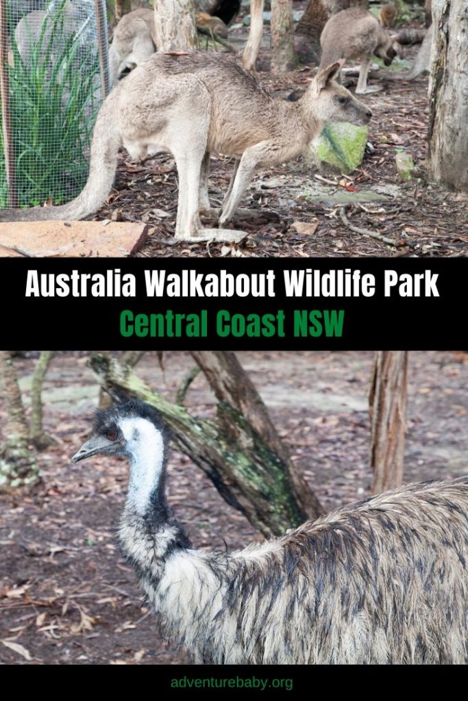 Australia Walkabout Wildlife Park: Central Coast NSW - Adventure, baby!