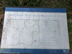 Strathfield Park and Playgrounds - Adventure, baby!