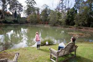 A visit to Wildwood Garden Bilpin, Blue Mountains Sydney - Adventure, baby!