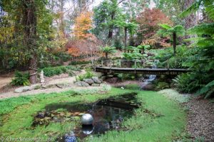 A visit to Wildwood Garden Bilpin, Blue Mountains Sydney - Adventure, baby!