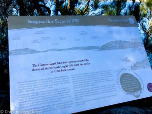 Berry Island Reserve & Playground - Adventure, baby!