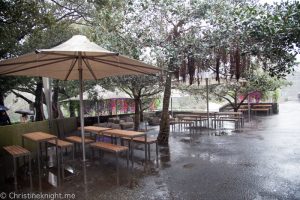 Bodhi Restaurant Bar: Vegan Yum Cha Sydney - Adventure, baby!