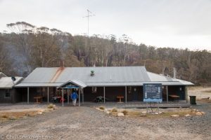 Corin Forest Mountain Resort: The Perfect First Snow Experience ...