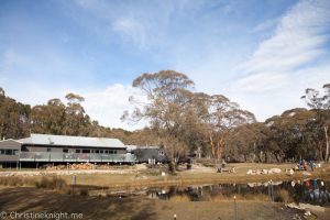 Corin Forest Mountain Resort: The Perfect First Snow Experience ...