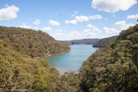 The Best Sydney Parks To Explore - Adventure, baby!