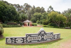 Fagan Park & Playground Galston Sydney - Adventure, baby!