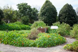 Fagan Park & Playground Galston Sydney - Adventure, baby!