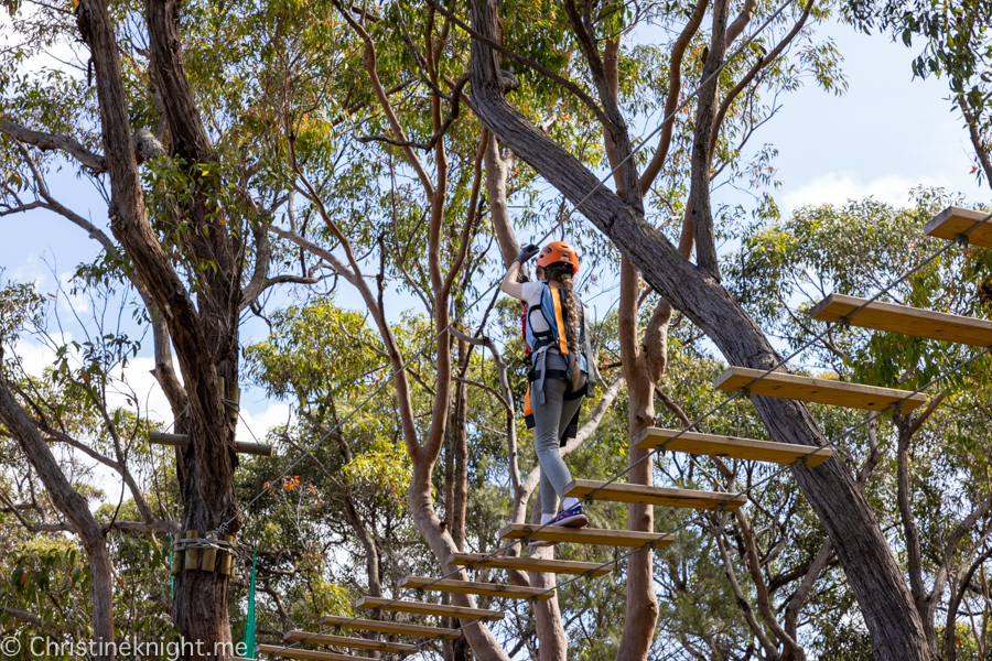 Treetops Adventure St Ives - Adventure, baby!