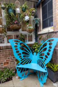 High Tea Camden: Brookfield House - Adventure, baby!