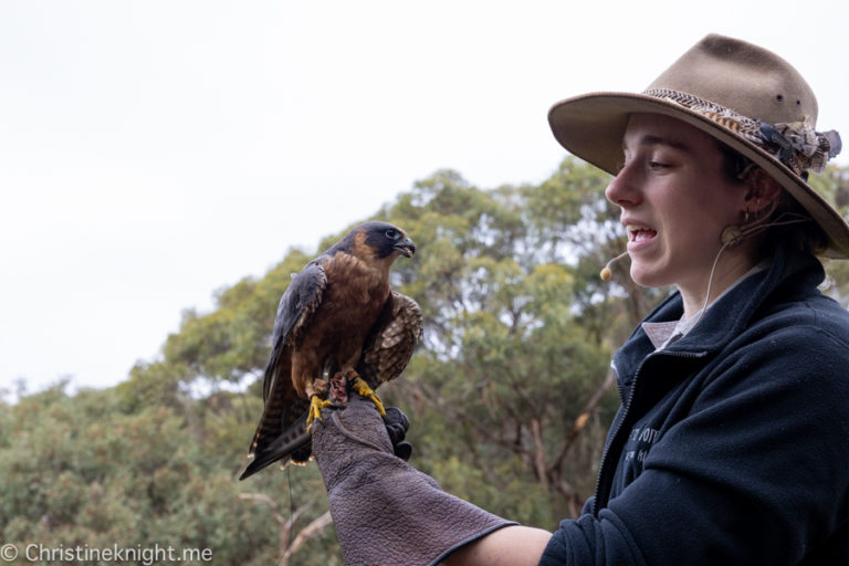 3-Day Family Kangaroo Island Itinerary - Adventure, baby!