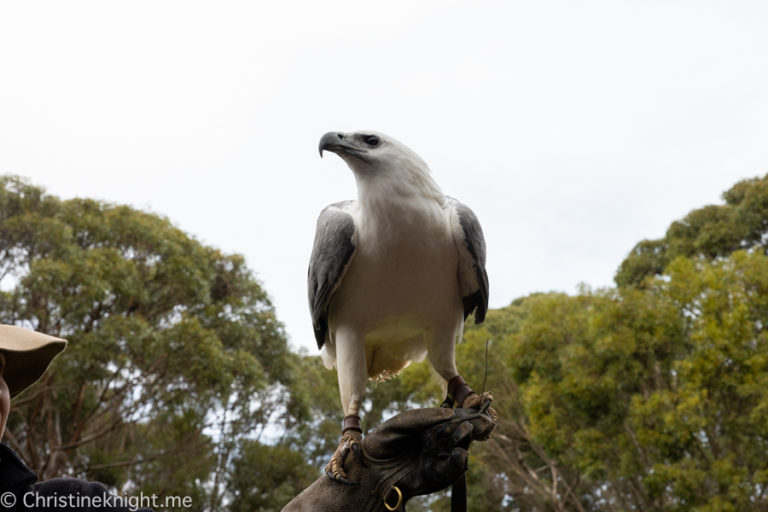 3-Day Family Kangaroo Island Itinerary - Adventure, baby!