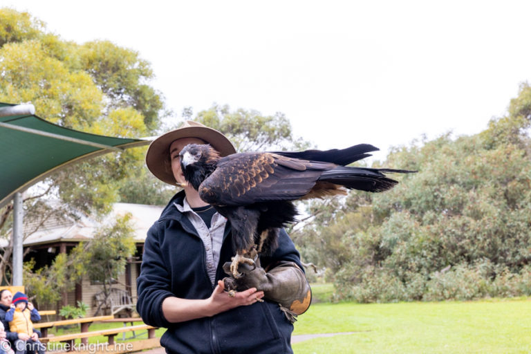 3-Day Family Kangaroo Island Itinerary - Adventure, baby!