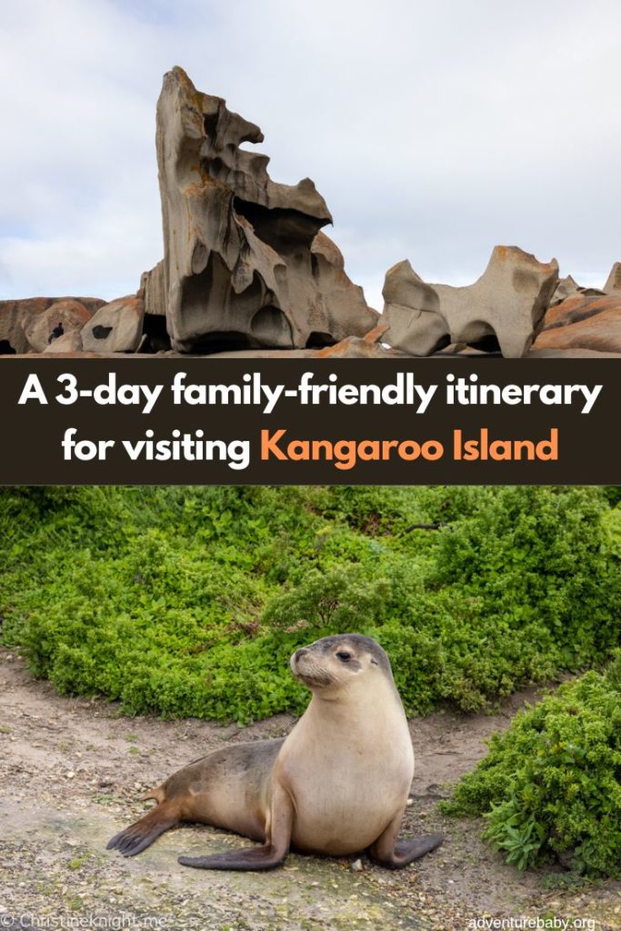 3-Day Family Kangaroo Island Itinerary - Adventure, baby!