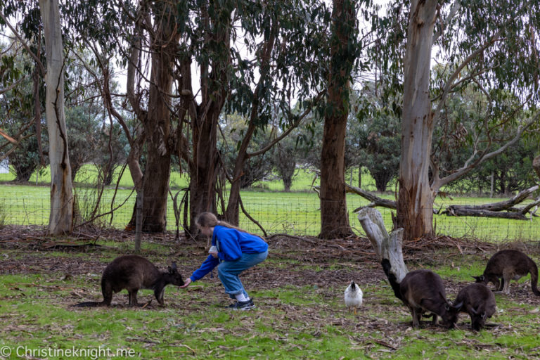 3-Day Family Kangaroo Island Itinerary - Adventure, baby!