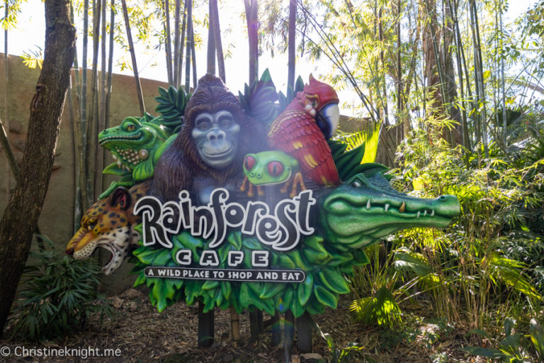 Best Attractions at Animal Kingdom, Walt Disney World Resort